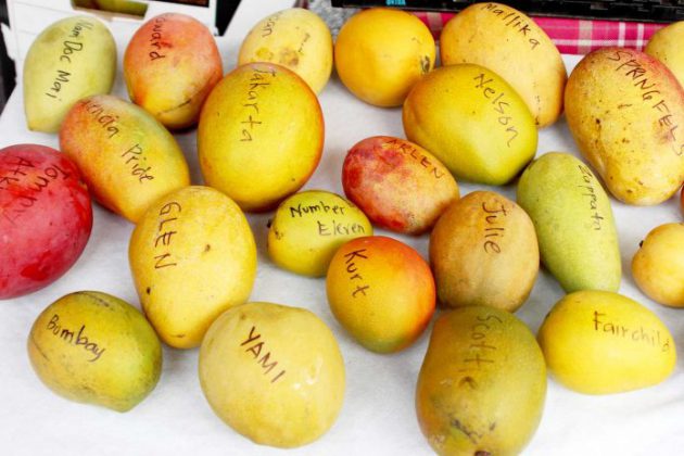 Magnificent mango - Cayman Health and Wellness